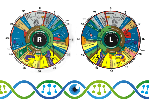Lectura de iris – Iridología Clinica